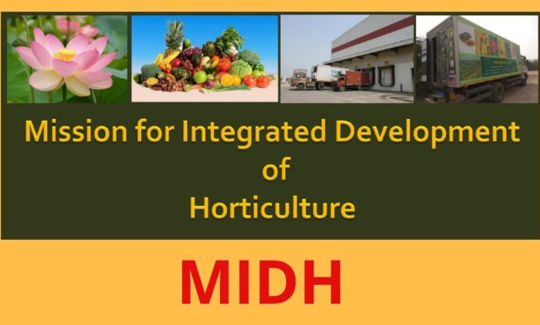 Chairman DLCC Kargil approves annual action plan under MIDH, ATMA ...