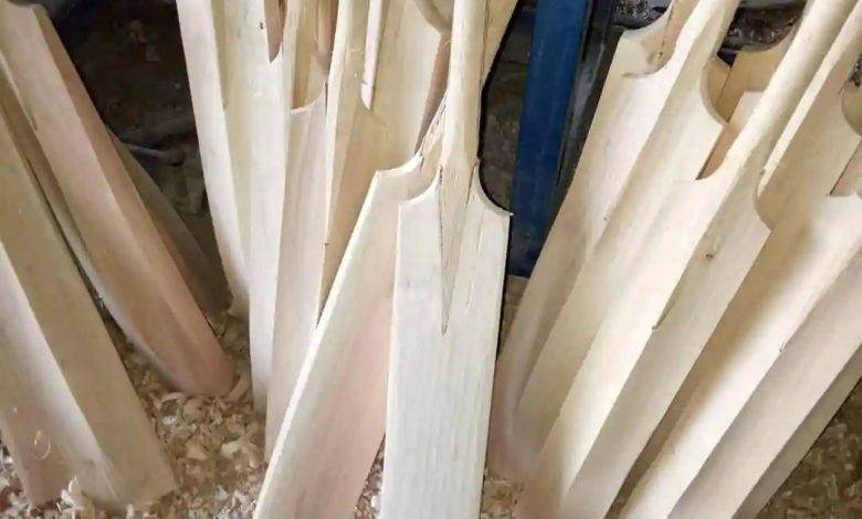 Two years on, Asia’s largest bat industry faces multiple challenges ...